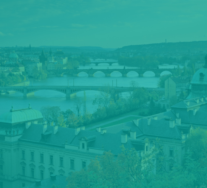 International Global SIM Card and Data Card for Travel | Gosim